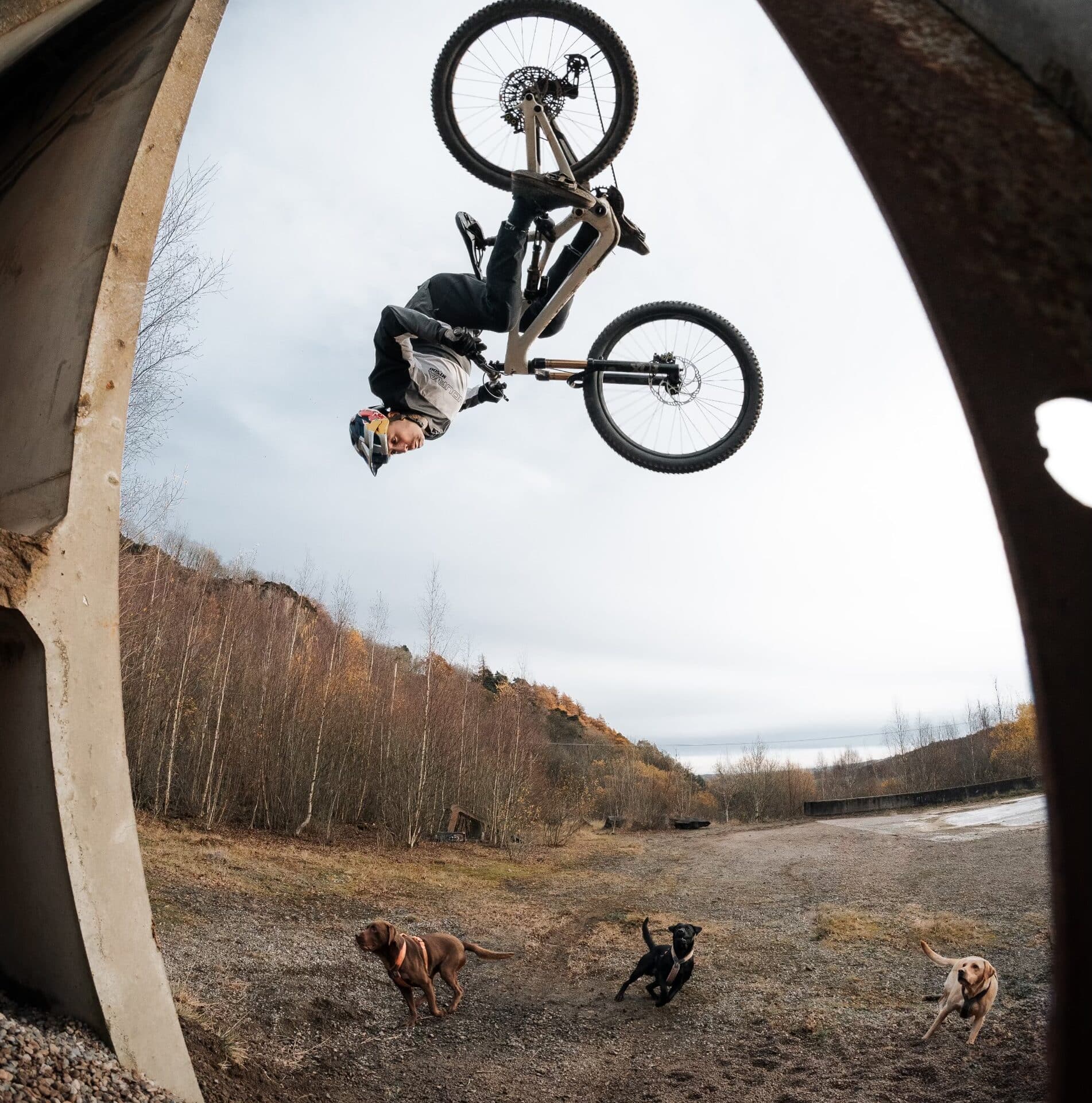 Mini mullet wheelset - Gravitas and Chaos | Halo Wheels